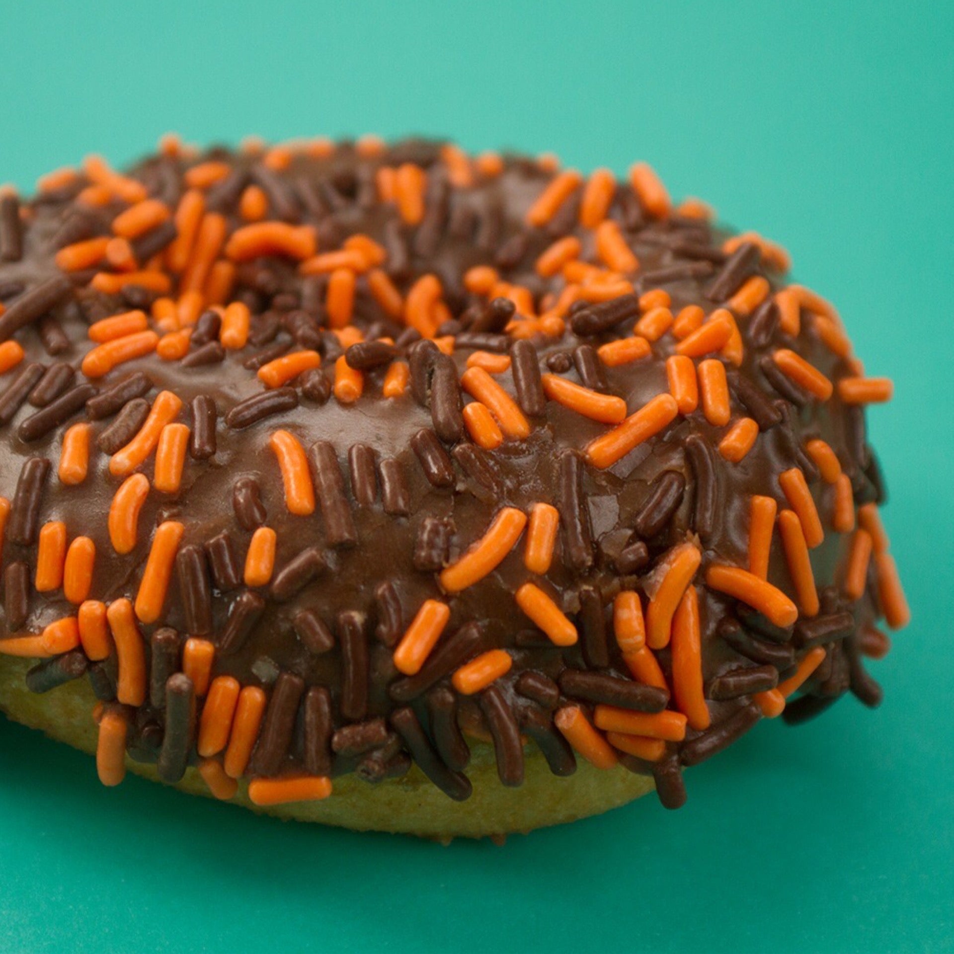 Single Vanilla Donut with Chocolate Frosting & Sprinkles | Fleitz ...